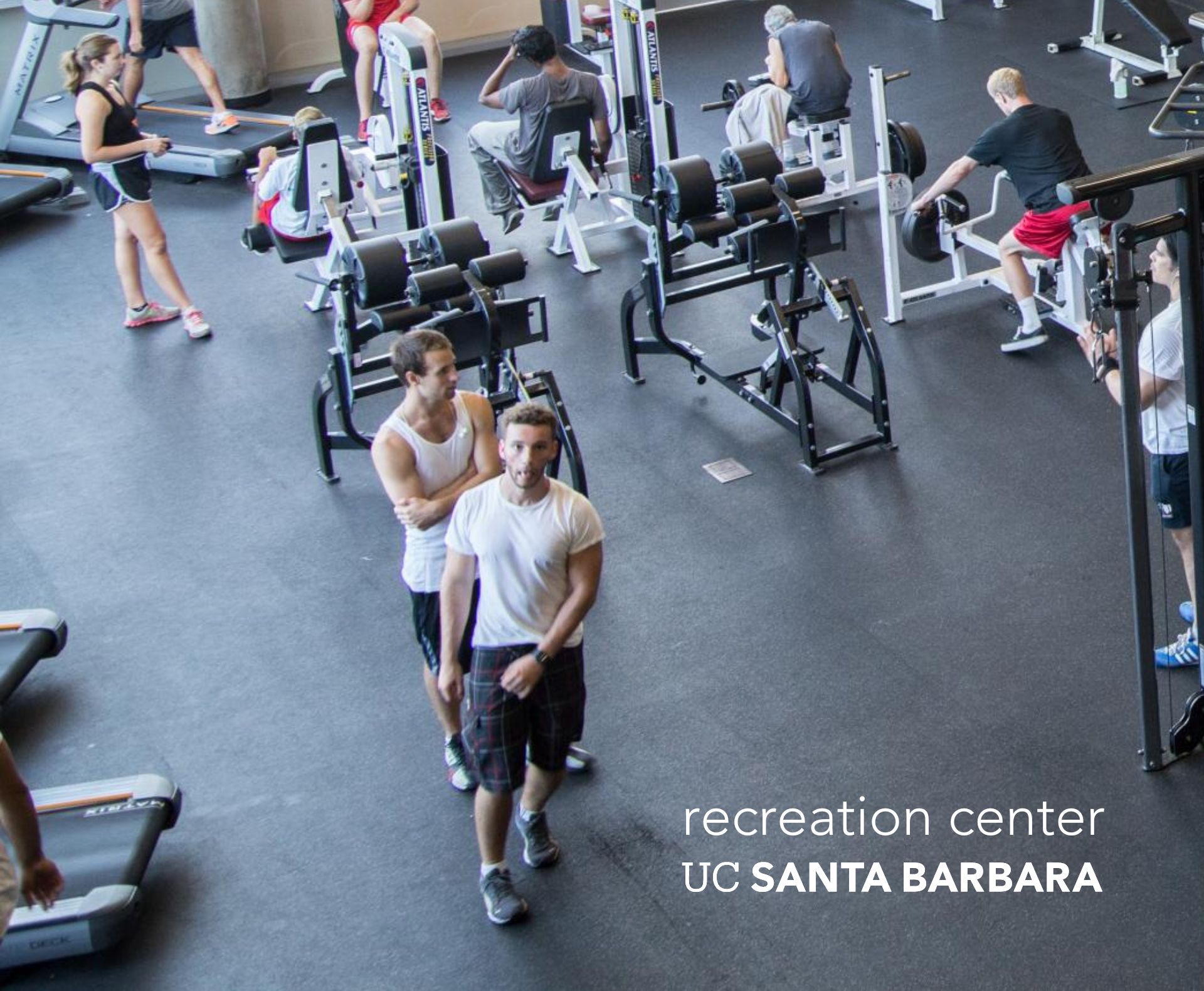 Proactive Wellness | Wellbeing