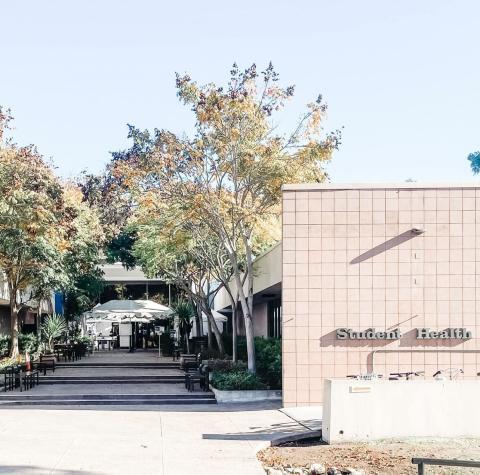 Medical Health | Wellbeing